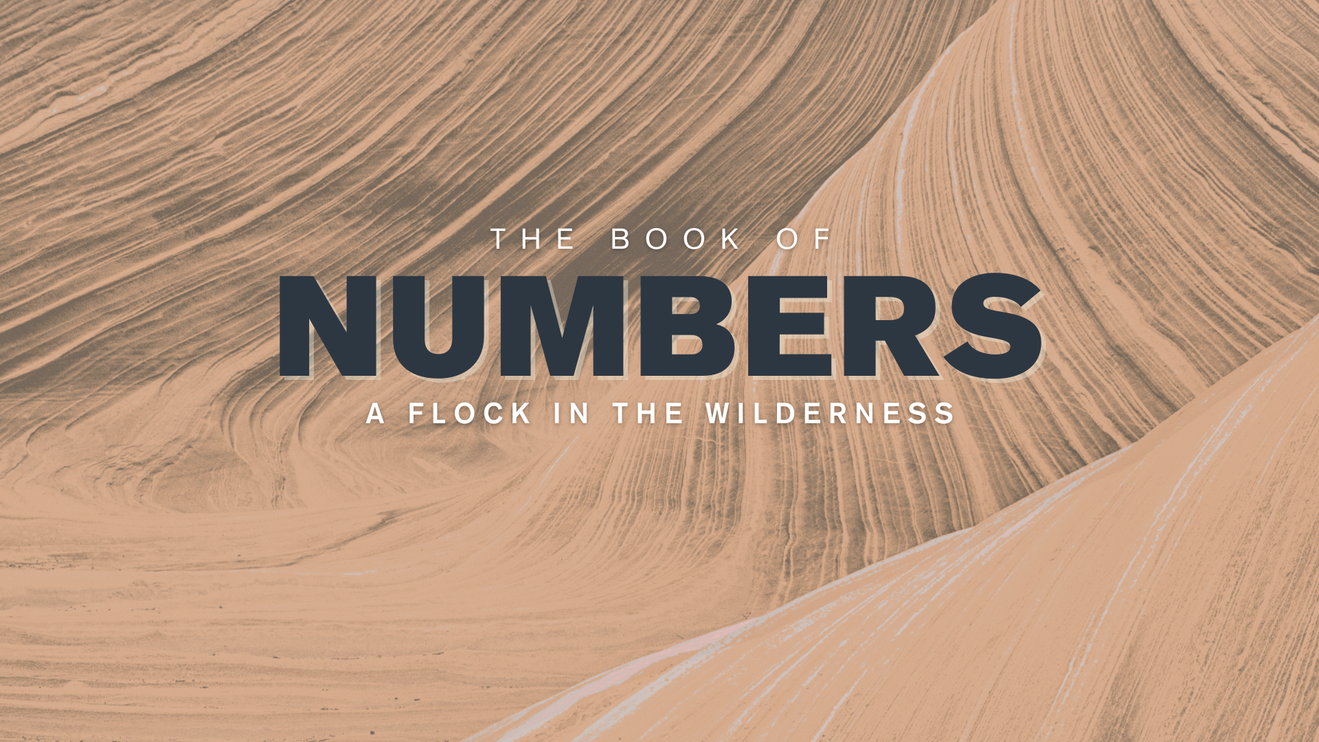 “An Unprecedented Way To Die” Numbers 16-20 – Faith Church